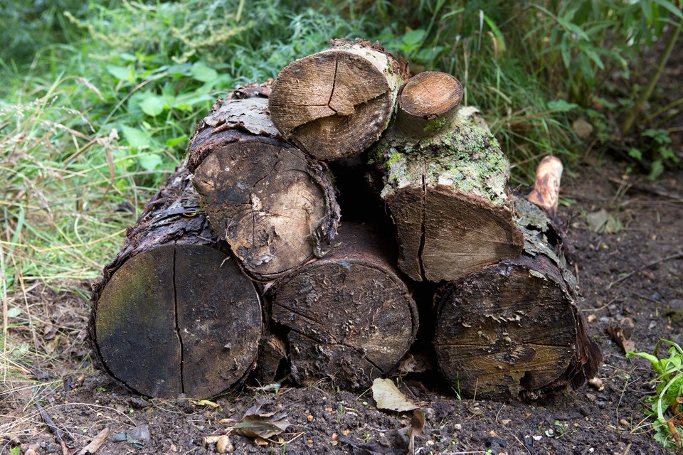 Wildlife Habitats